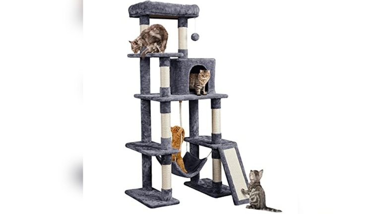 Tall Cat Trees for Large Cats: Ultimate Multi-Level Play and Rest ...