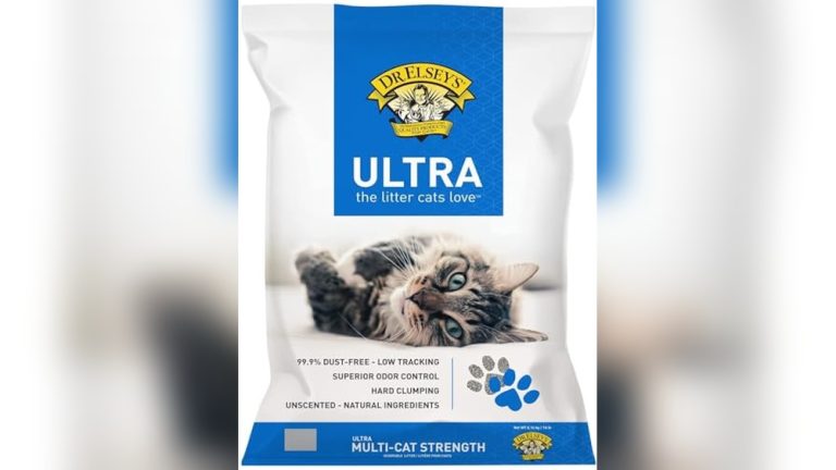 Best Cat Litter for Sensitive Paws 2026: Top Picks for Comfort - Breeds ...